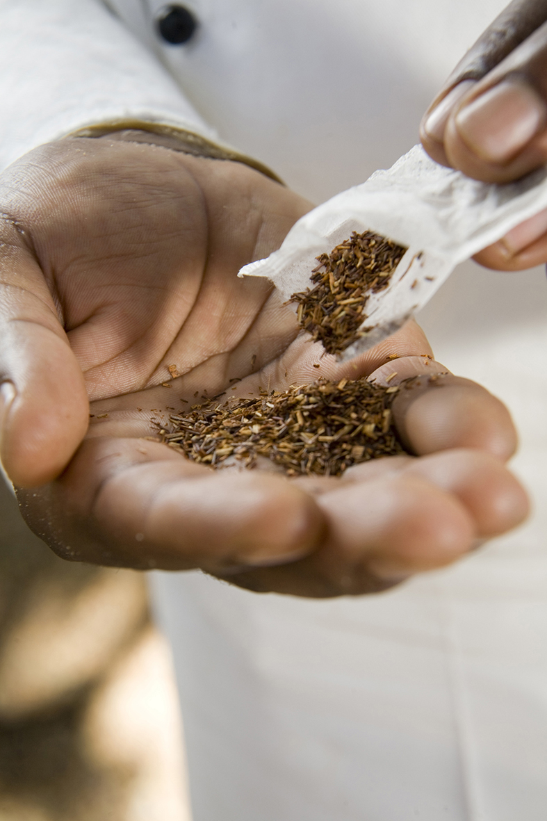 Rooibos - A uniquely South African story - MyKitchen